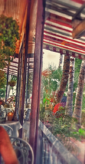 The Raintree Restaurant: Fresh and Delicious | St. Augustine, Florida